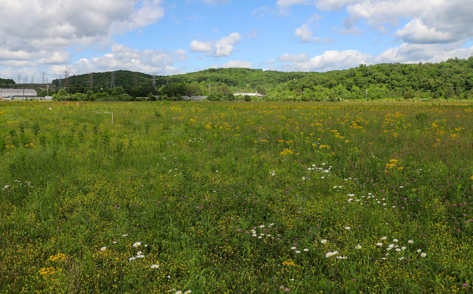 License to Build: Progress on Hermes and the ETU Series - Kairos Power